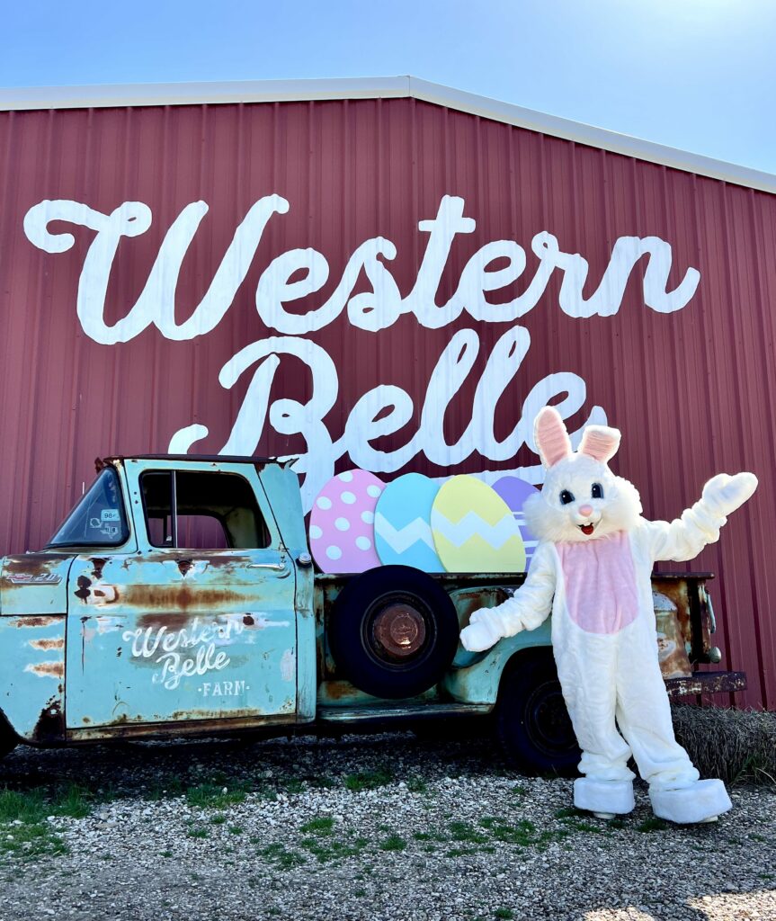 Easter Festival 2025 - Western Belle Farm