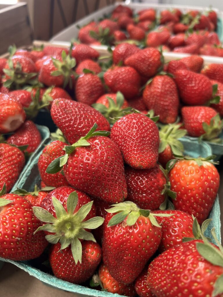 Strawberry U-Pick - Western Belle Farm